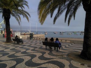 Unique bar ‘Pensão Amor’ (brothel) Lisbon: former red light district ...